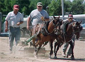 Piscataquis Valley Fair 2001 - Pony Pulling