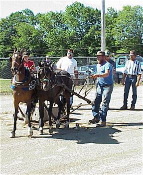 Piscataquis Valley Fair 2002 Photograph Gallery on Friday