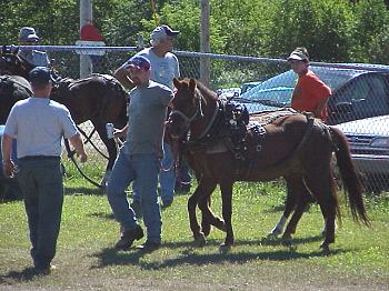 Piscataquis Valley Fair 2002 Photograph Gallery on Friday