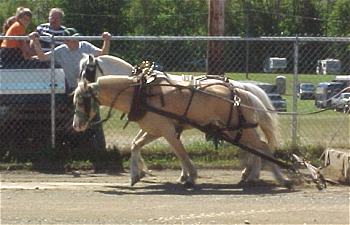 Piscataquis Valley Fair 2002 Photograph Gallery on Friday