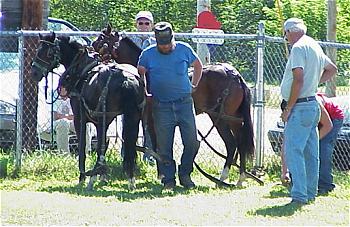Piscataquis Valley Fair 2002 Photograph Gallery on Friday