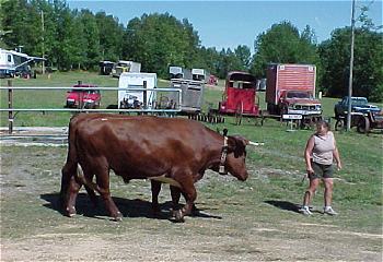 Piscataquis Valley Fair 2002 Photograph Gallery on Friday