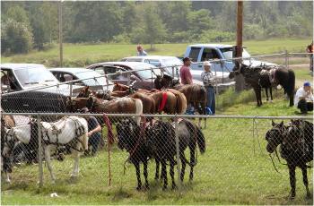 Piscataquis Valley Fair 2002 Photograph Gallery on friday