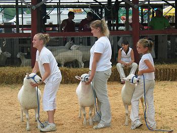 Piscataquis Valley Fair 2002 Photograph Gallery on friday