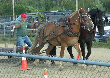Piscataquis Valley Fair 2002 Photograph Gallery on friday