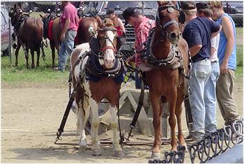 Piscataquis Valley Fair 2002 Photograph Gallery on friday