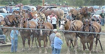 Piscataquis Valley Fair 2002 Photograph Gallery on friday