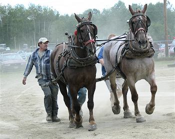Piscataquis Valley Fair 2002 Photograph Gallery on Sunday