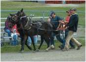 Piscataquis Valley Fair 2006 - Pony Pulling