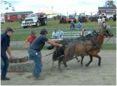 Piscataquis Valley Fair 2006 - Pony Pulling