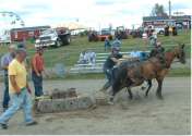Piscataquis Valley Fair 2006 - Pony Pulling