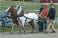 Piscataquis Valley Fair 2006 - Pony Pulling