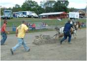 Piscataquis Valley Fair 2006 - Pony Pulling